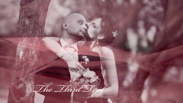 Ivipid - Video Intro Maker - Choose Theme